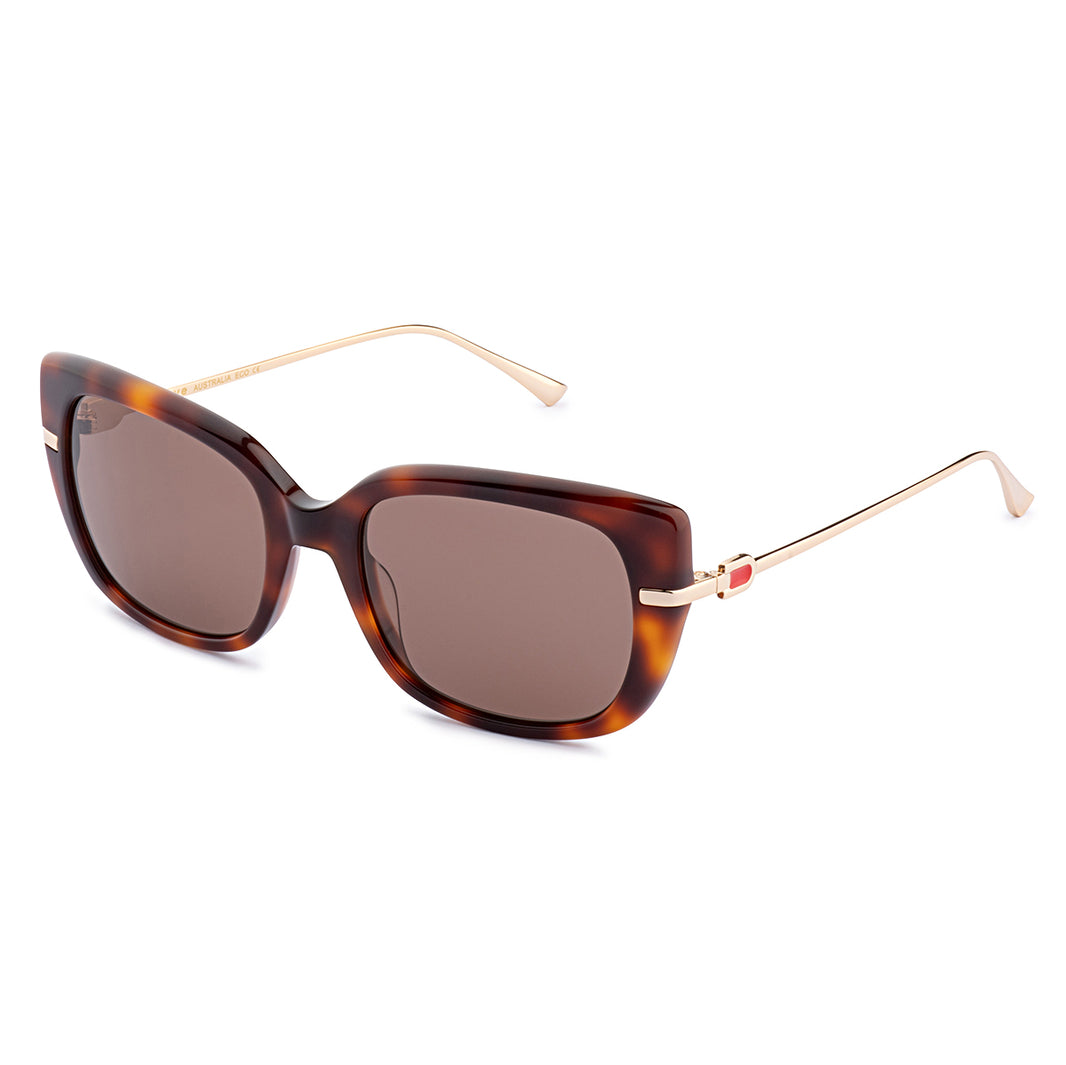 Cove – VS Eyewear